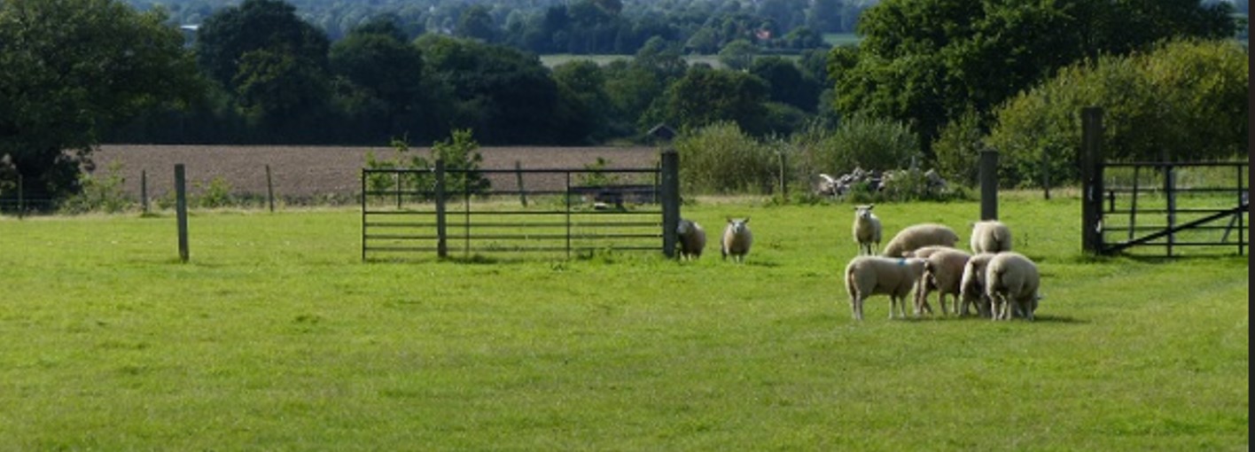 Hammonds Farm is now the preferred Option - No to Hammonds Farm